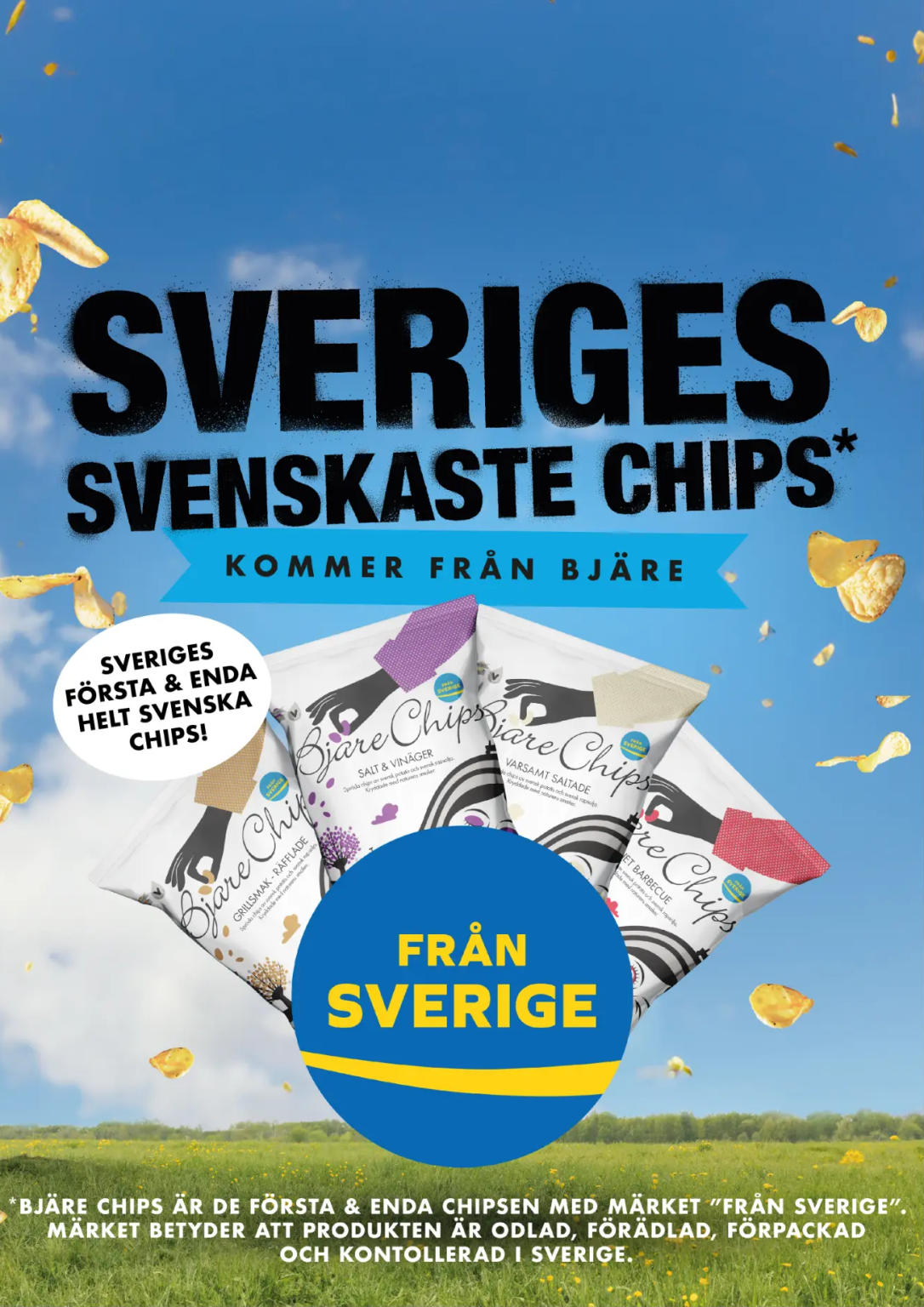 TOREKOWS LILLA CHIPSFABRIK AB